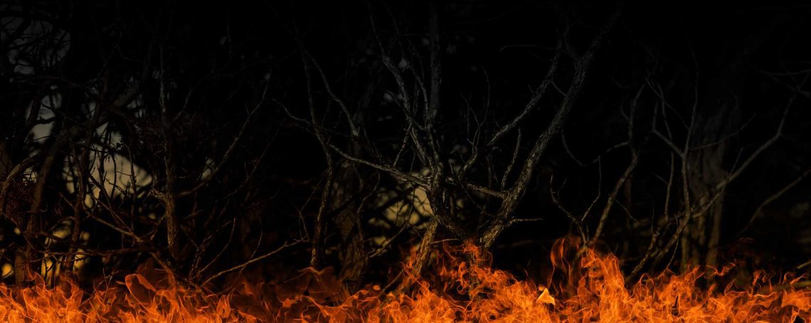 Jasons Woods #1 Haunted Attraction In PA | Hayride In Pennsylvania